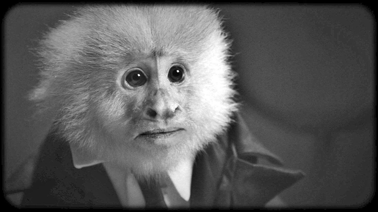 John Seven | Viewer's Discretion: Mysteries worth unraveling | Archives ...