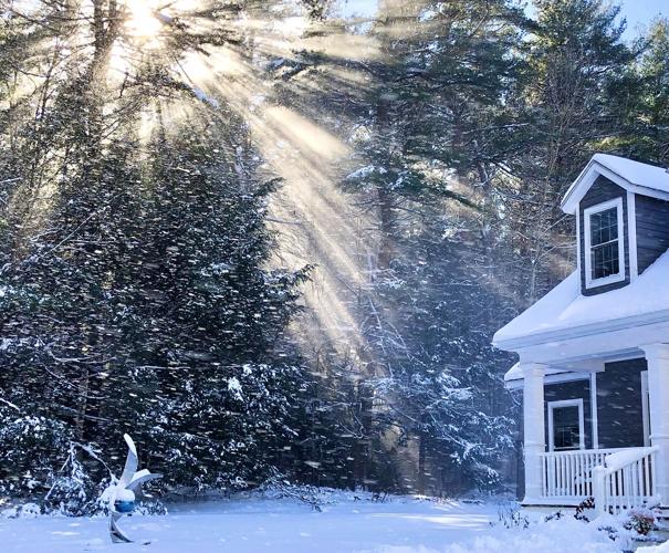 Richard Reiss: Song of the (true) snowbird | Columnists ...