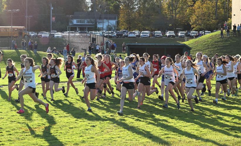 Levesque, Rocheleau-Holmes collect cross-country wins in meet at Lee ...