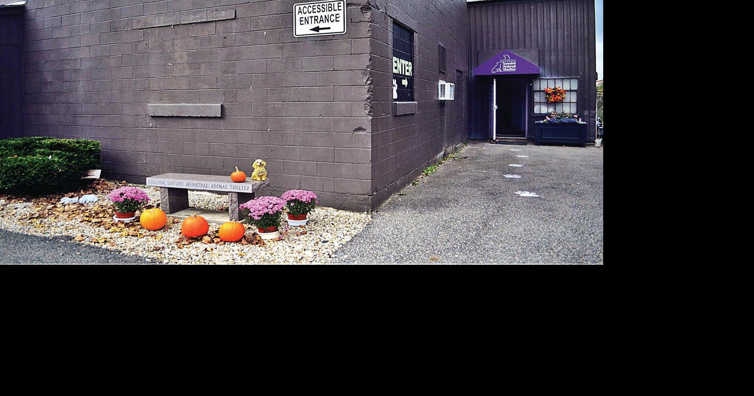 Eleanor Sonsini Animal Shelter