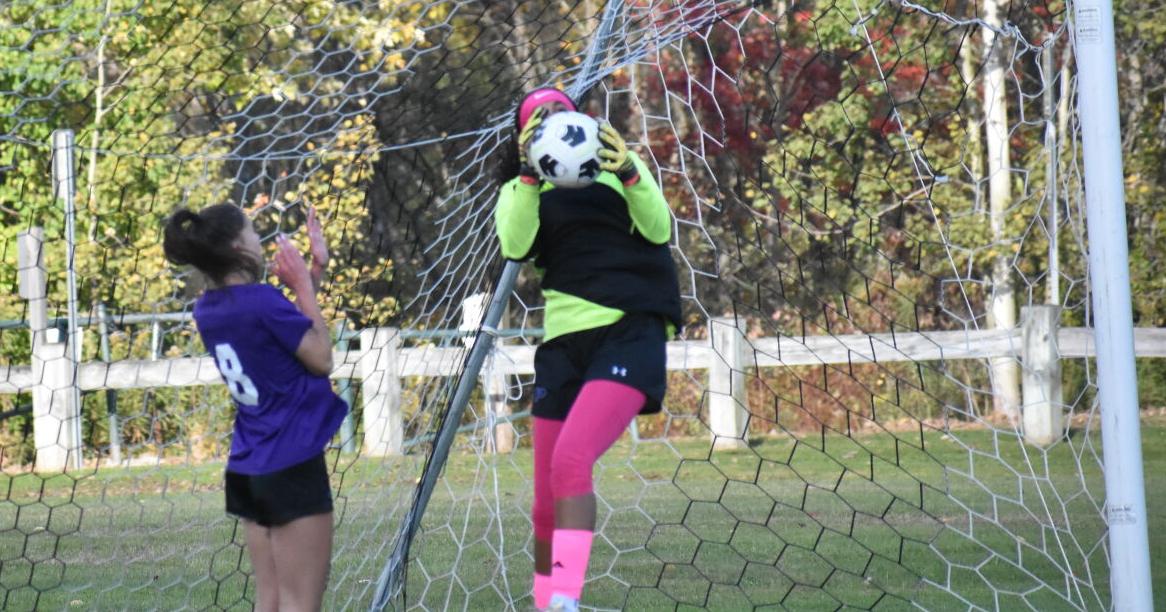 Pittsfield High girls soccer falls at home against Agawam | Local ...