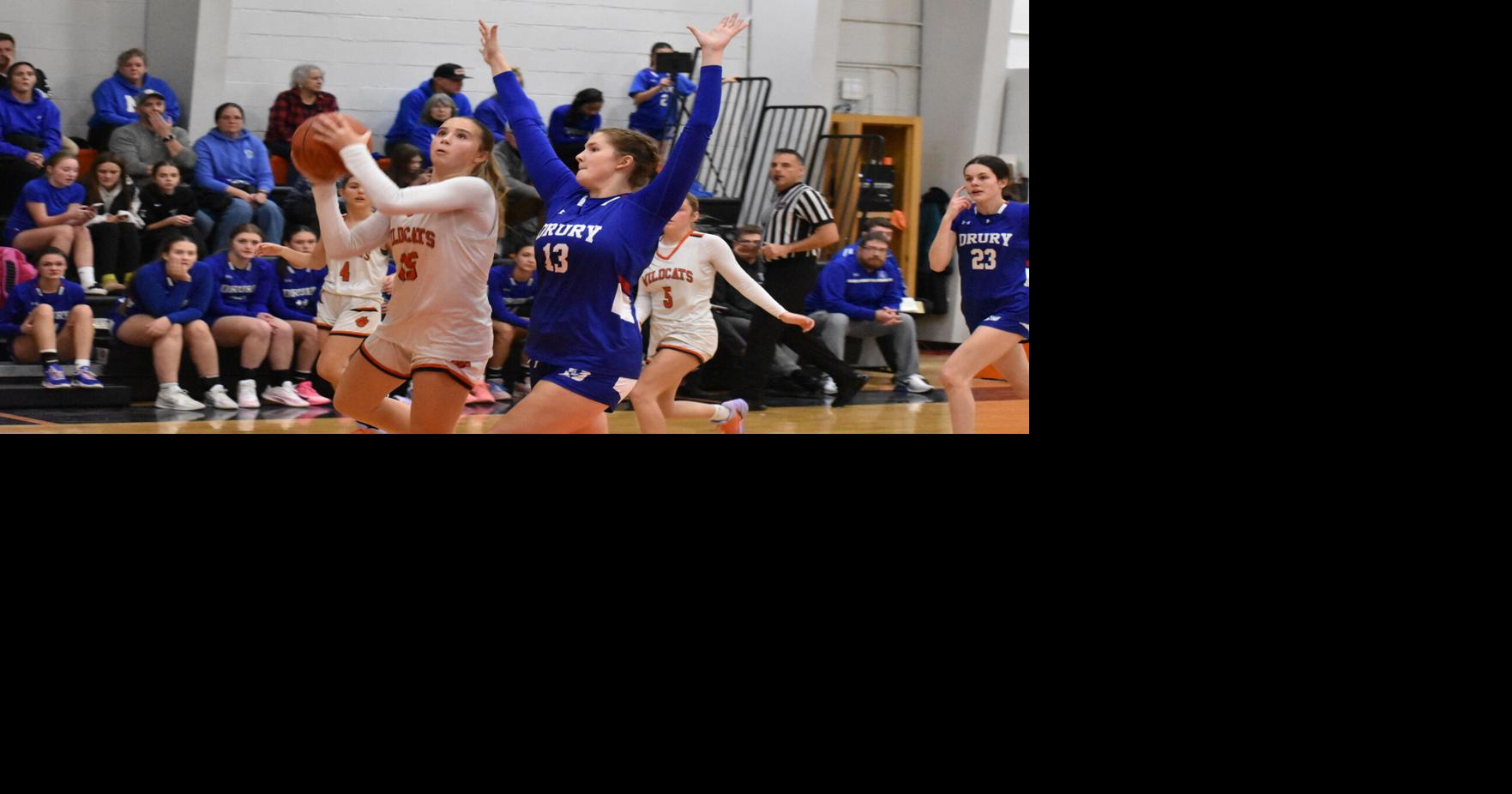 Basketball Roundup: Lee, Wahconah girls, Drury boys, all win | Local ...