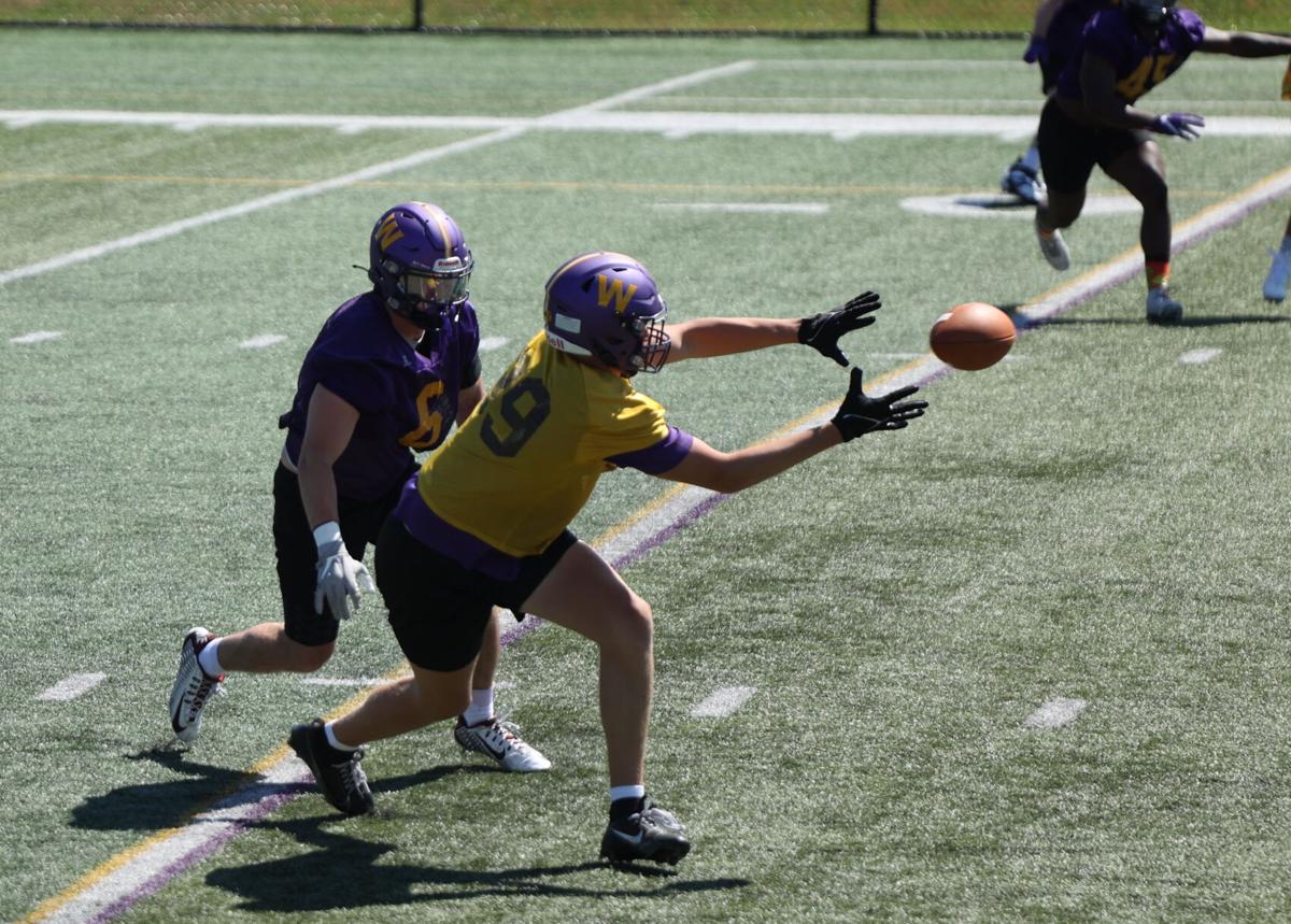Williams College football opens the 2025 season at Hamilton | Sports ...