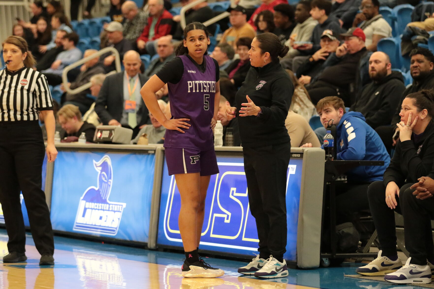 Pittsfield girls are derailed by top seed St. Mary's in MIAA D-III ...