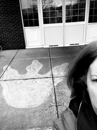 Unusual sightings indicate travelling sea monster near Stockbridge ...