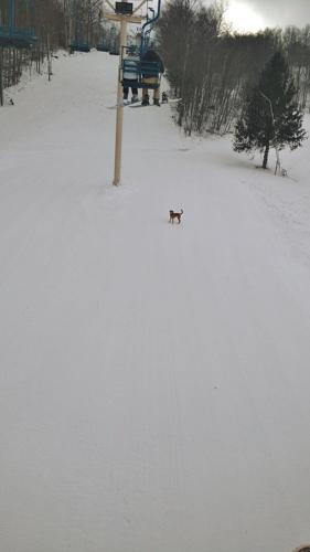 Mike Walsh | Powder Report: Bousquet opens to eager patrons | Sports ...