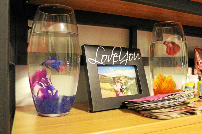 Preparing for college: Dos and don'ts of dorm-room packing | Lifestyle ...