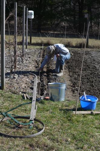 Ron Kujawski: Here come the sun, the flowers ... and veggies, too ...