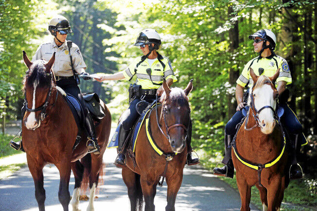 Mounted force: Horse patrols at work in October Mountain, Pittsfield ...