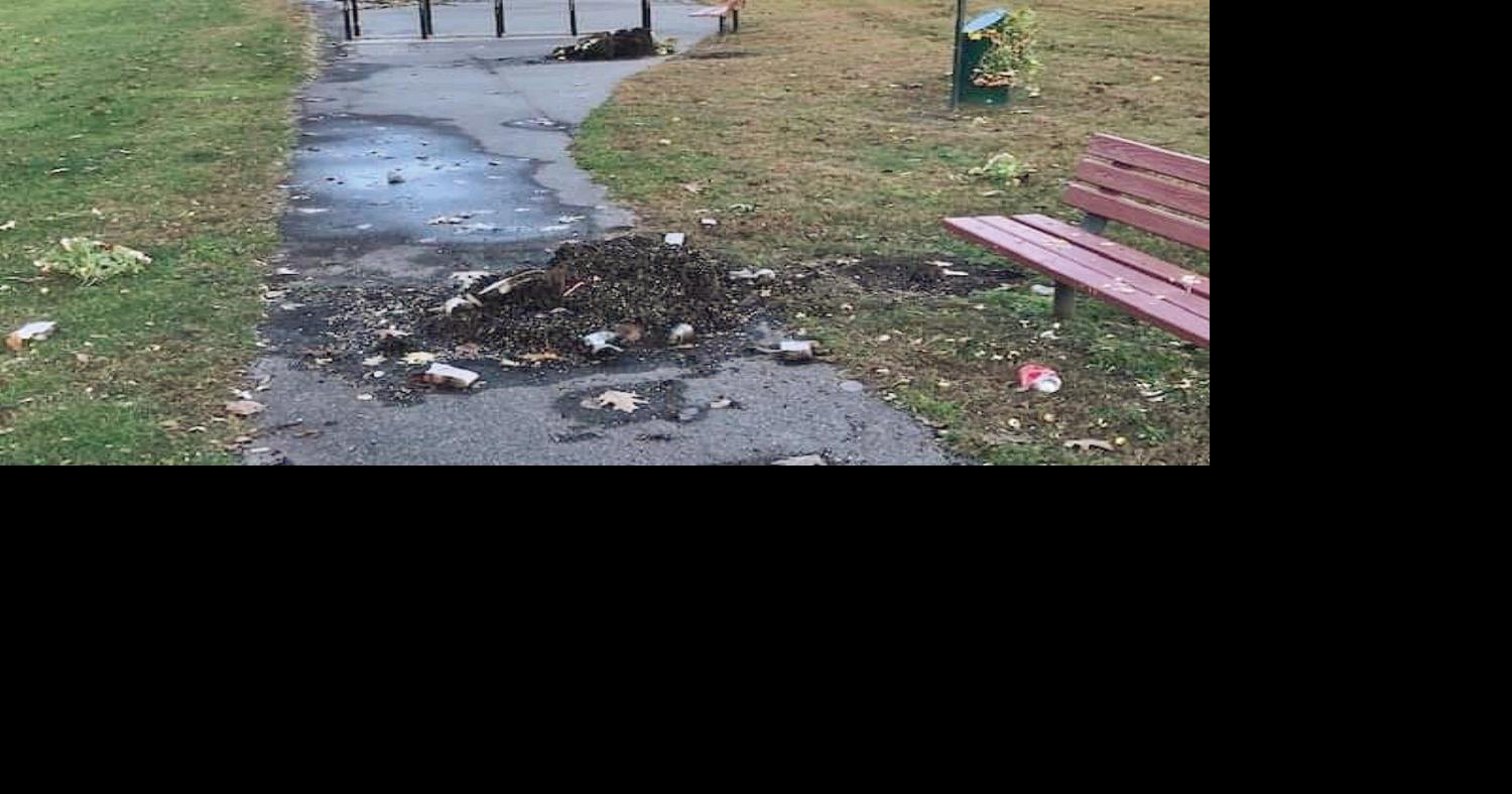 Flower barrels smashed on Halloween night | | berkshireeagle.com