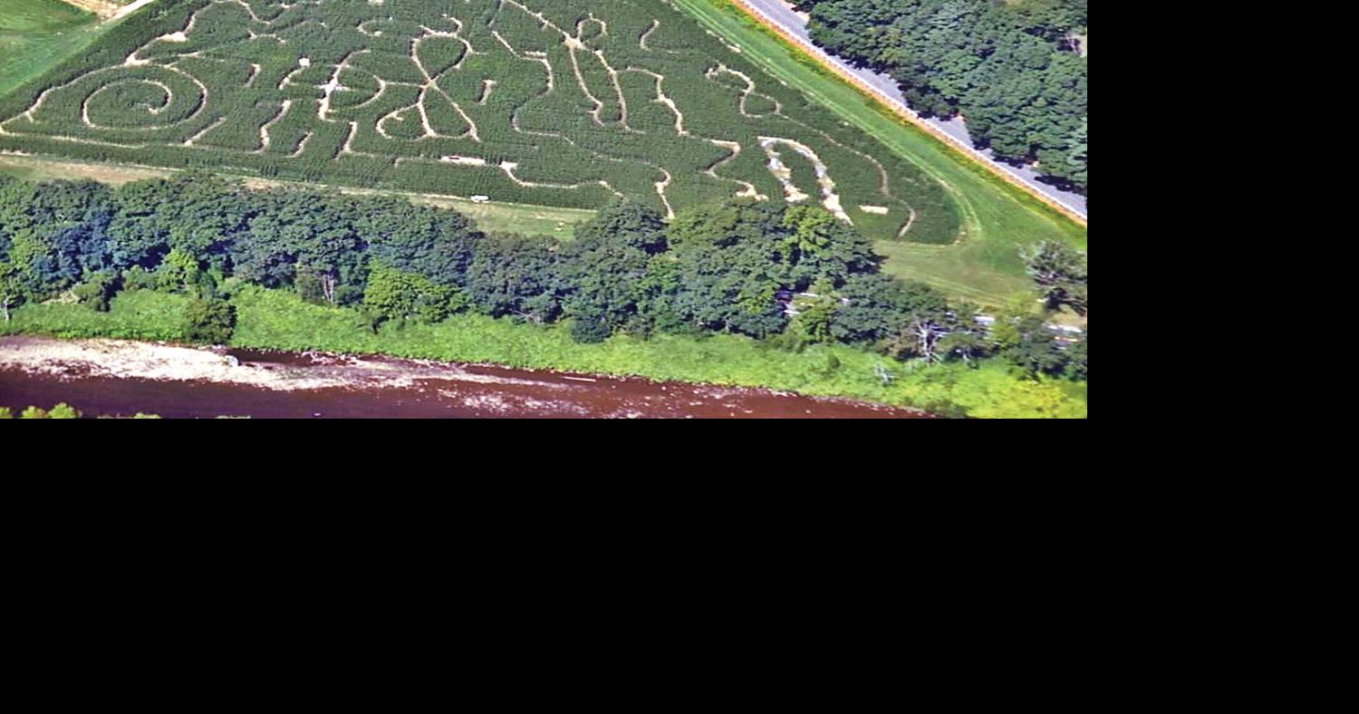 Find your way out of the Hicks Family Farm Corn Maze | Archives | The ...