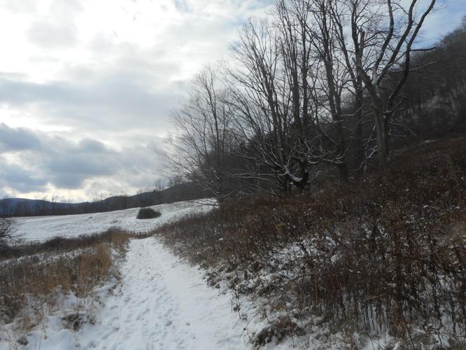 A winter trip to Tyringham Cobble offers more than just a walk in the ...