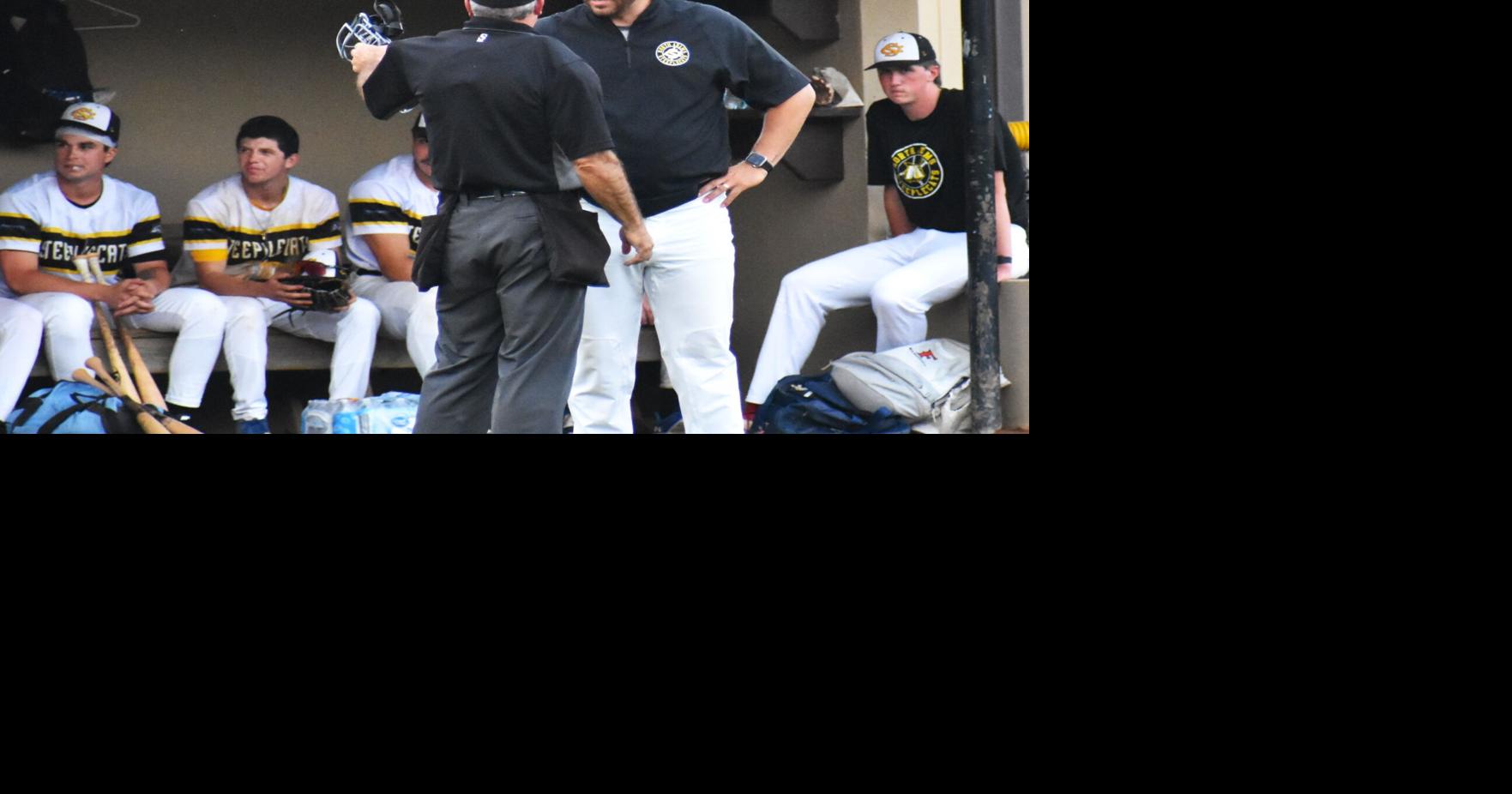 Paul Procopio steps down as SteepleCats general manager, team is ...