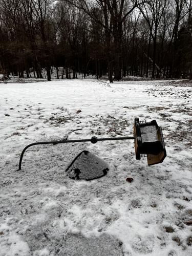 Bears are attacking my bird feeders | Columnists | berkshireeagle.com