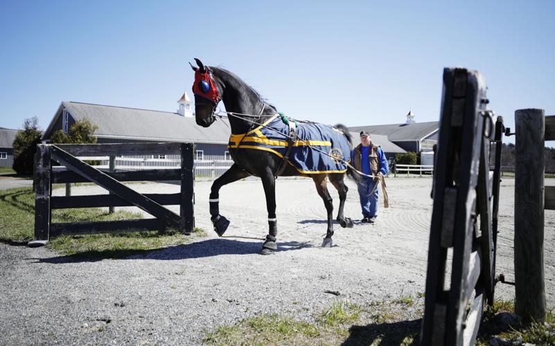 Photos: Show horse training at Rodney Hicks Stable | Multimedia ...