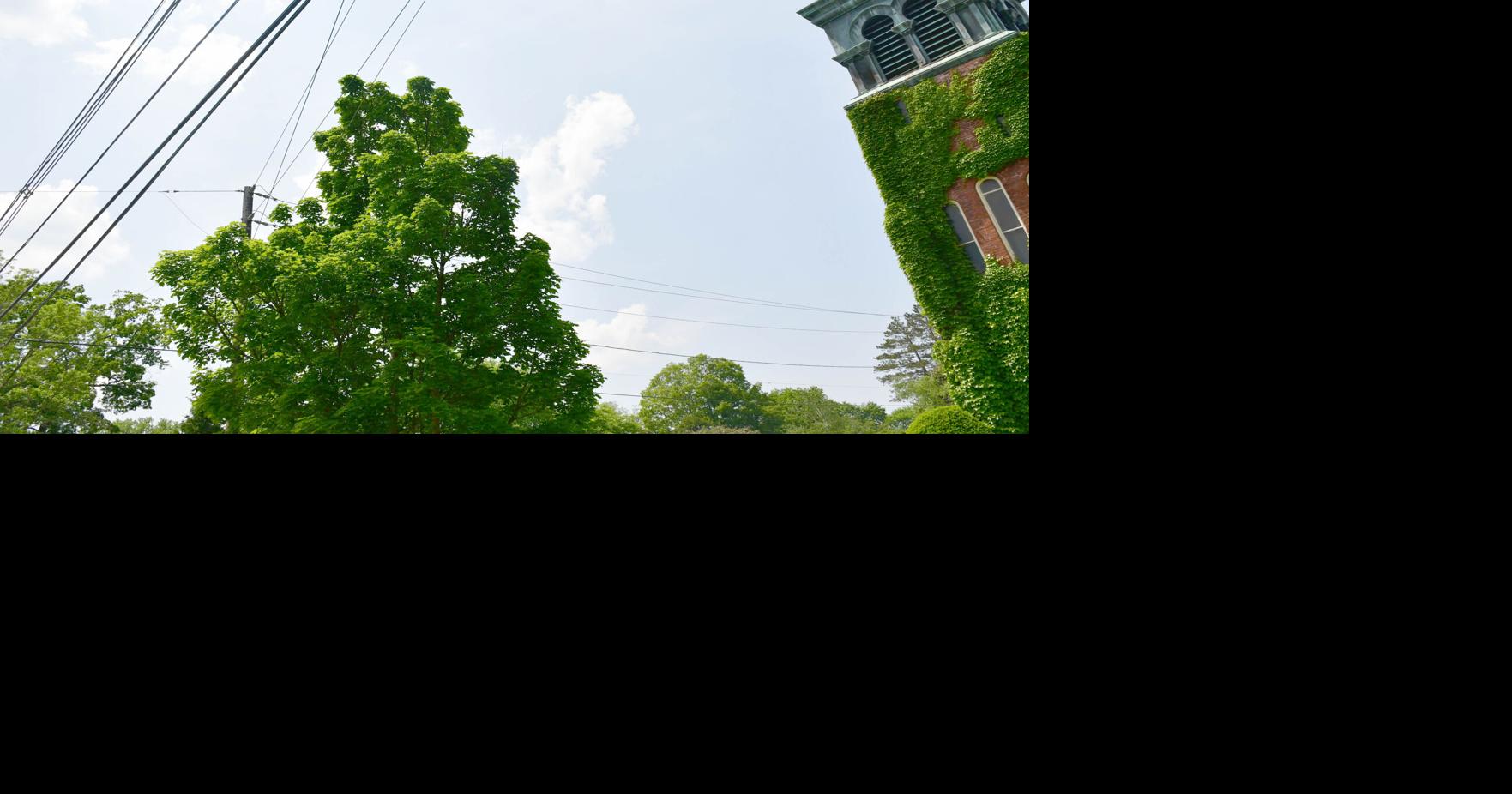 Fallen trees knock out power for hundreds in Stockbridge | South ...