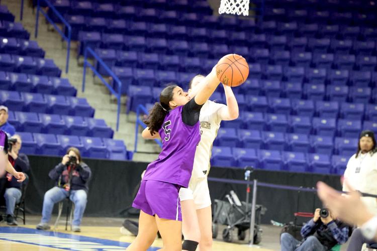 Photos: Pittsfield High girls basketball at the MIAA D-III State ...