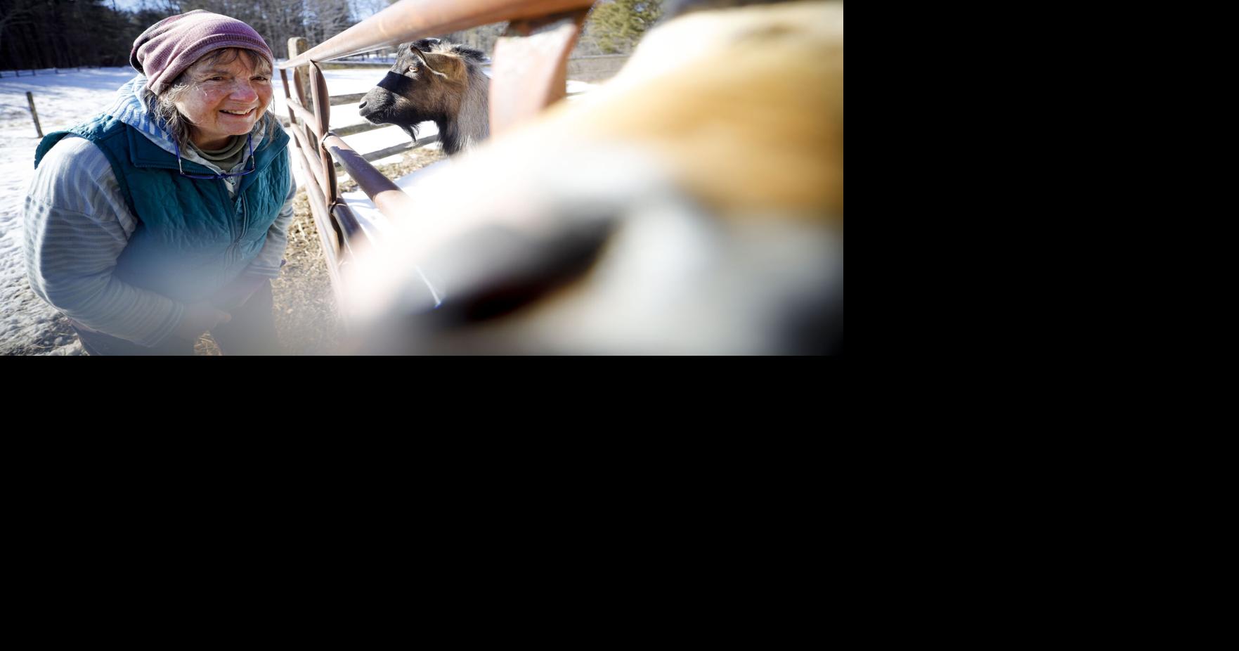 Susan Sellew smiling with goats | | The Berkshire Eagle
