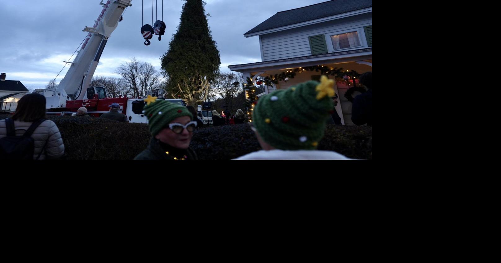 Get a first glimpse of the 2024 Rockefeller Center Christmas Tree on ...