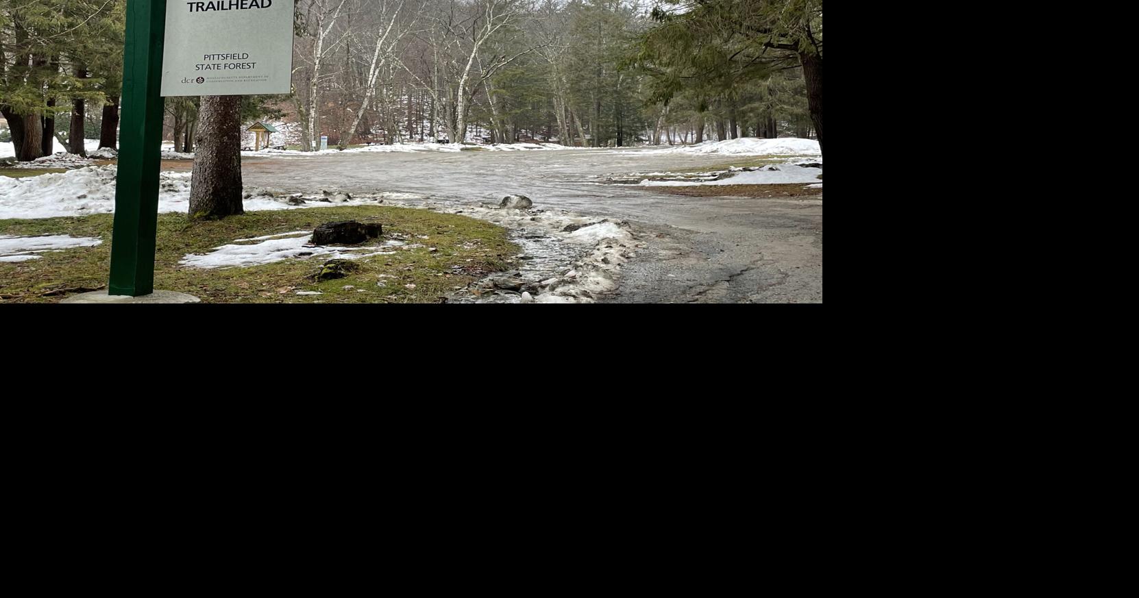 Judge denies request for bail from one of four defendants in the ...