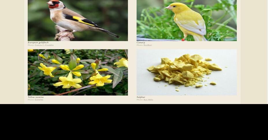 Where do our words for colors in nature come from? | Arts and Culture ...