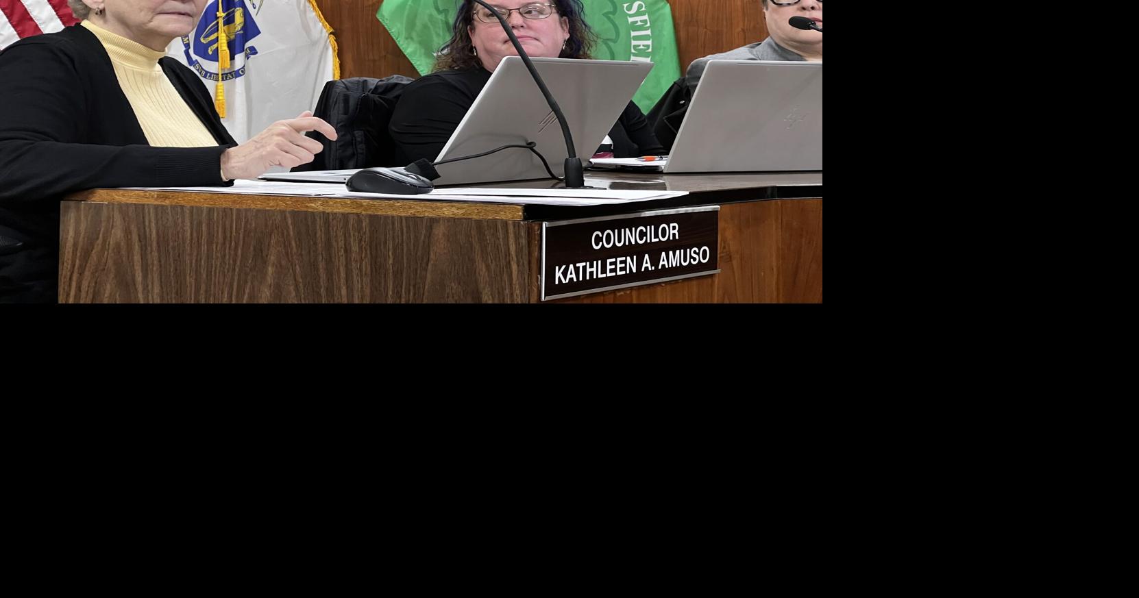 Bill Everhart: Pittsfield City Council opts for playing politics over ...