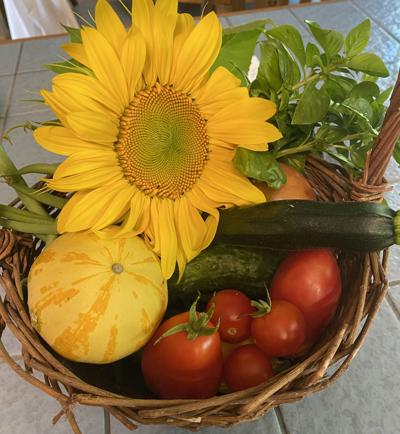 Farm markets and backyard plots gain followers | Columnists | The ...