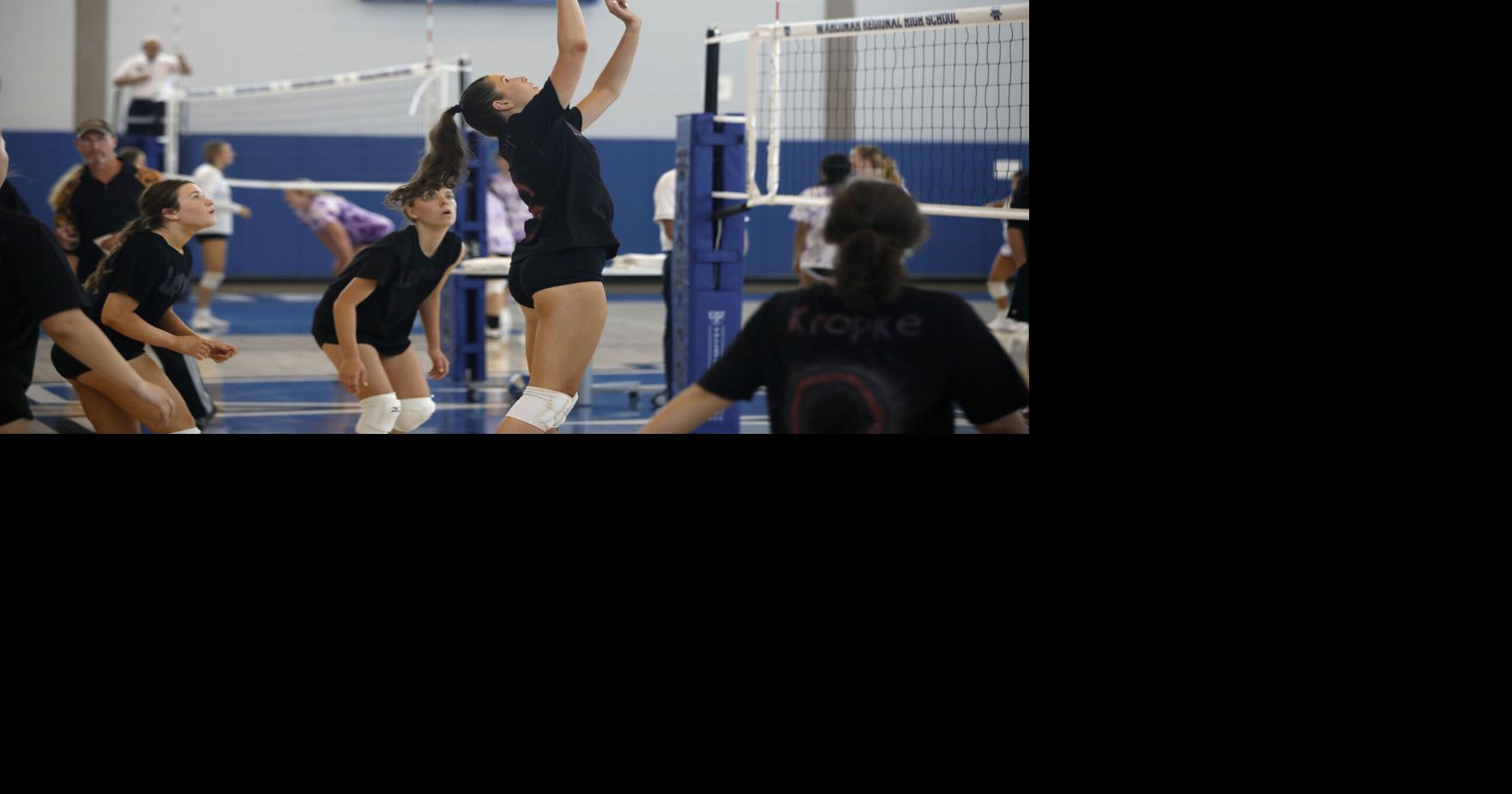 Volleyball: Wahconah, Taconic, Lee, Lenox and Mount Greylock all earn ...