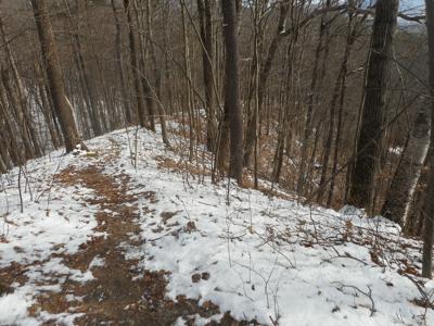 Lauren R. Stevens: Hiking in the footsteps of Grace Greylock Niles ...
