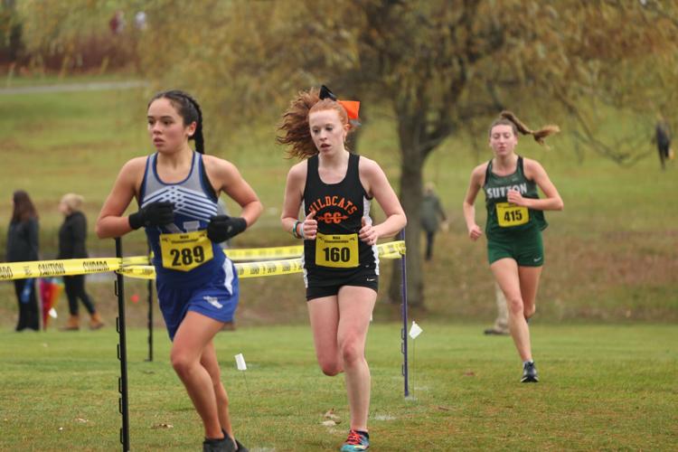 Photos: Girls runners compete at MIAA D-III State qualifying meet in ...