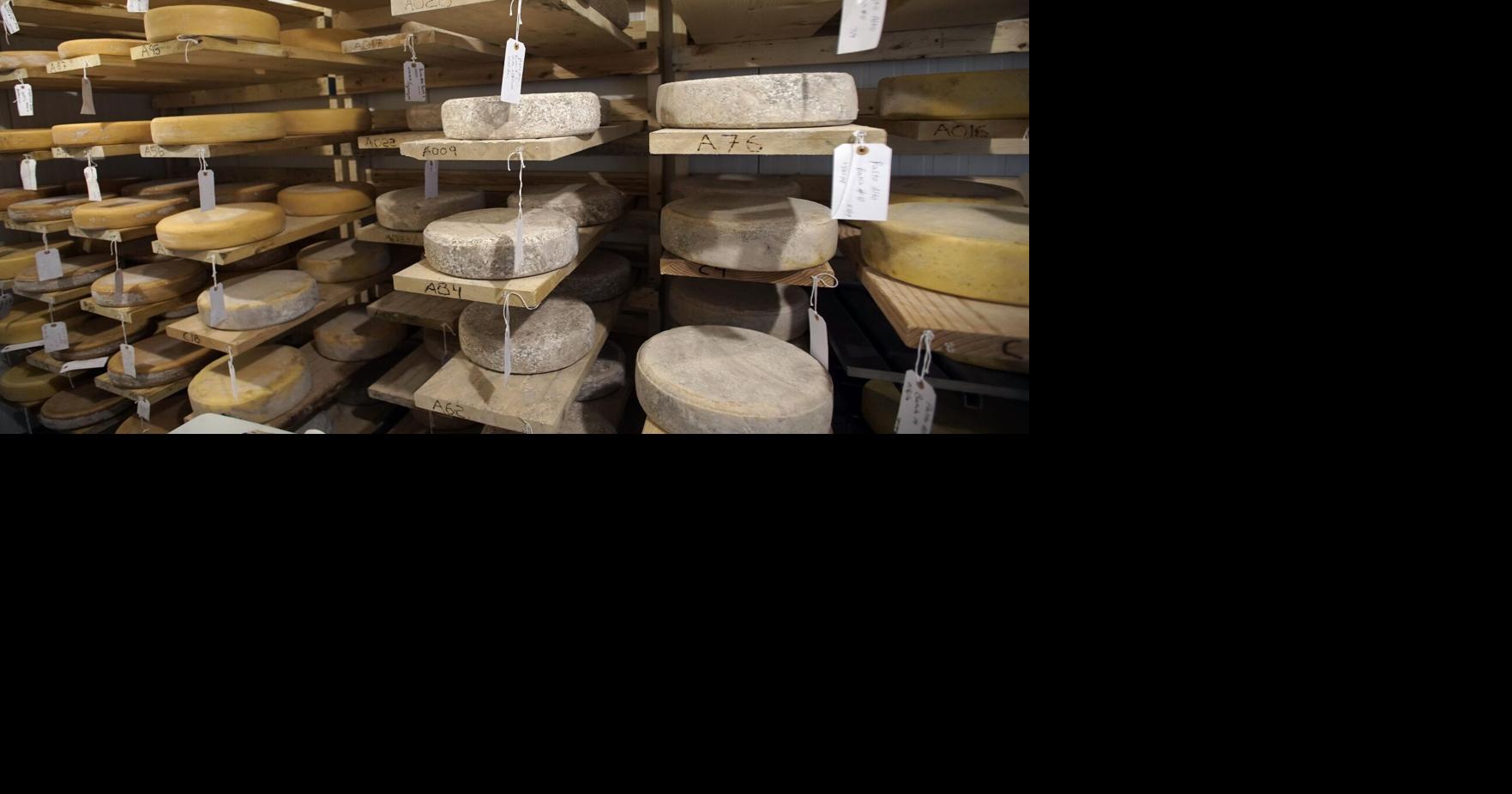 Celebrate the art of cheesemaking at the 2023 Massachusetts Cheese ...
