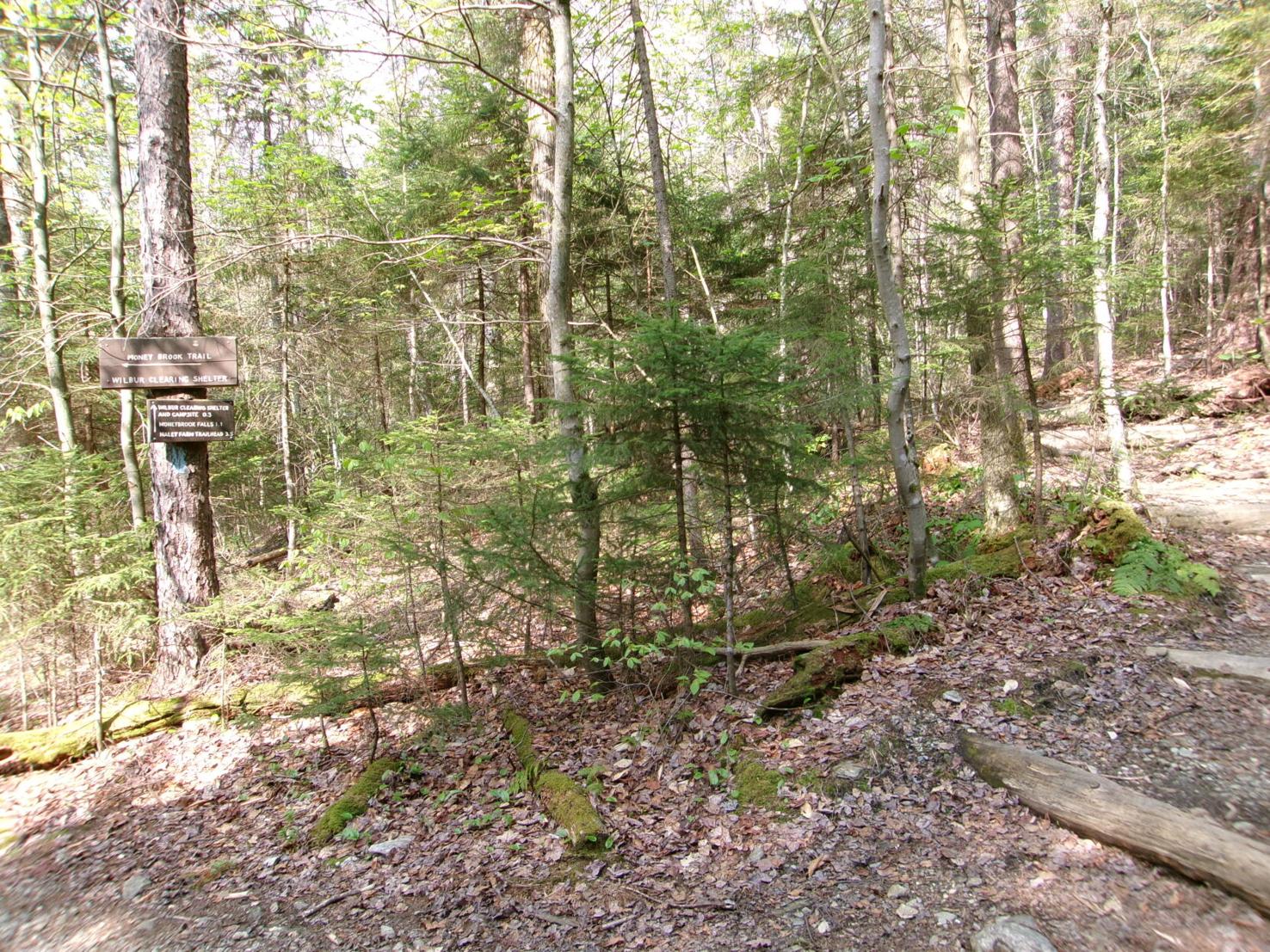 Prospect junction | | The Berkshire Eagle