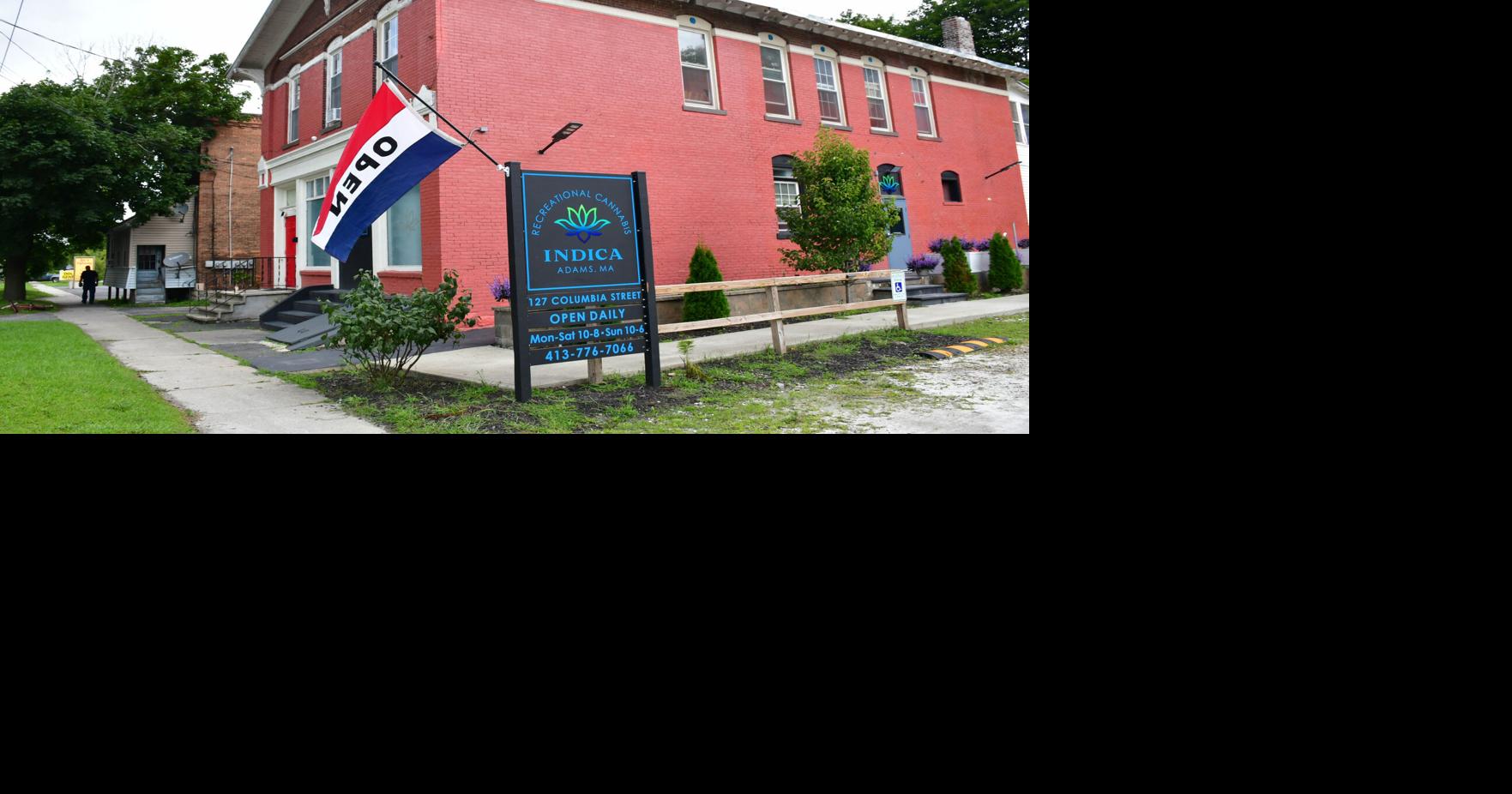 Indica Cannabis' and Kerry Raheb's lawyer asks to be removed from wage ...