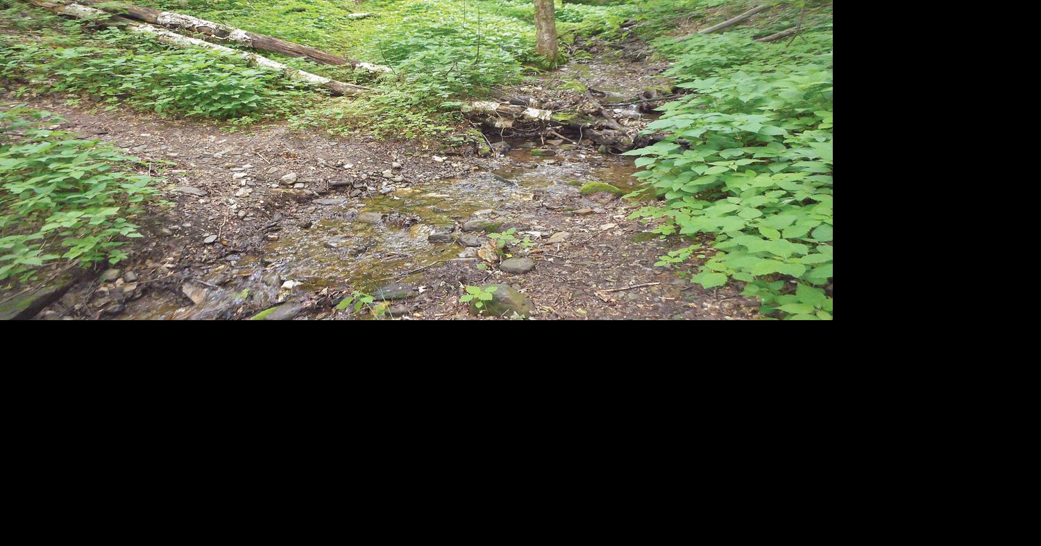 A dream pipe: Rigorous Mount Greylock trail gets a national nod | Local ...