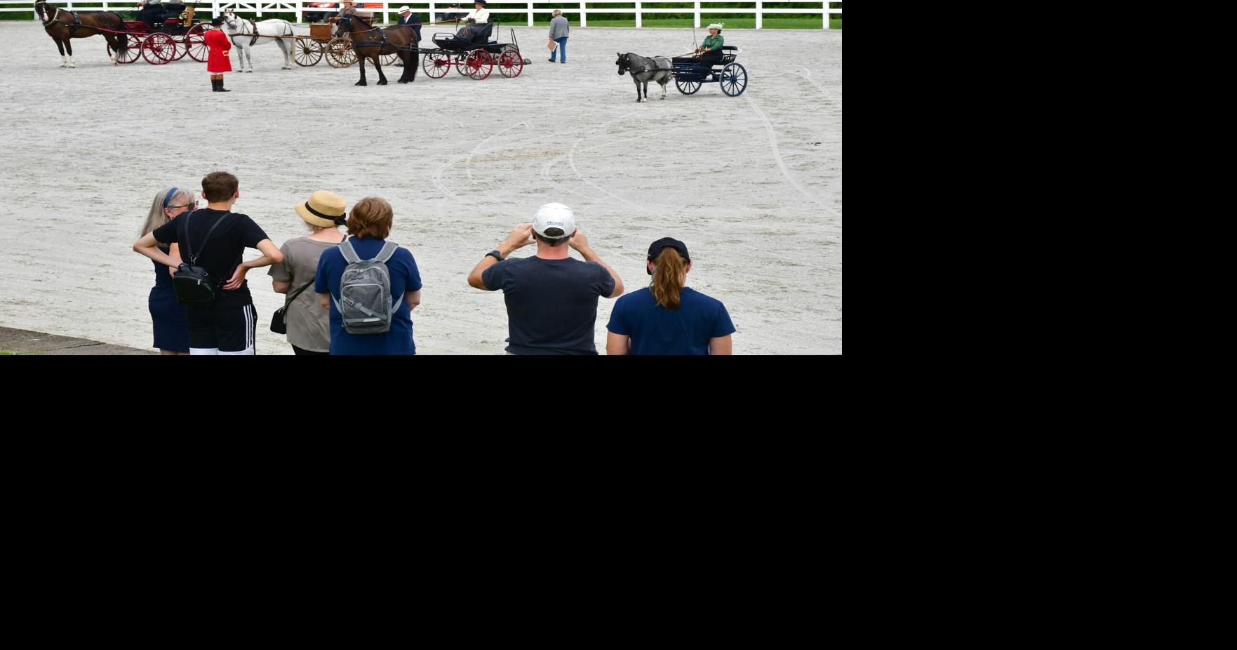 Photos: Combined Test, Driving Trail and Pleasure Driving Show at ...