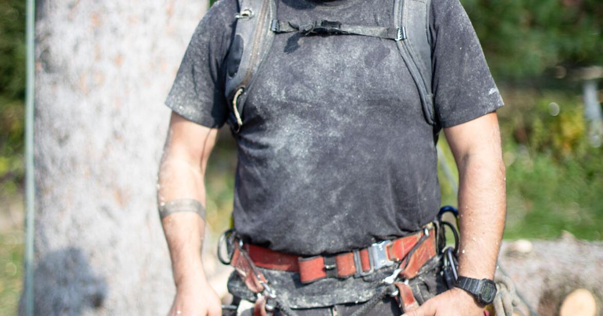 arborist Chris CarnEvale | | berkshireeagle.com
