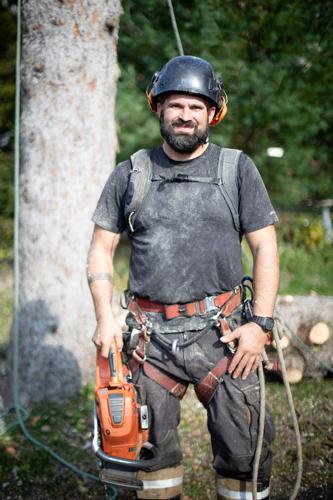 arborist Chris CarnEvale | | berkshireeagle.com