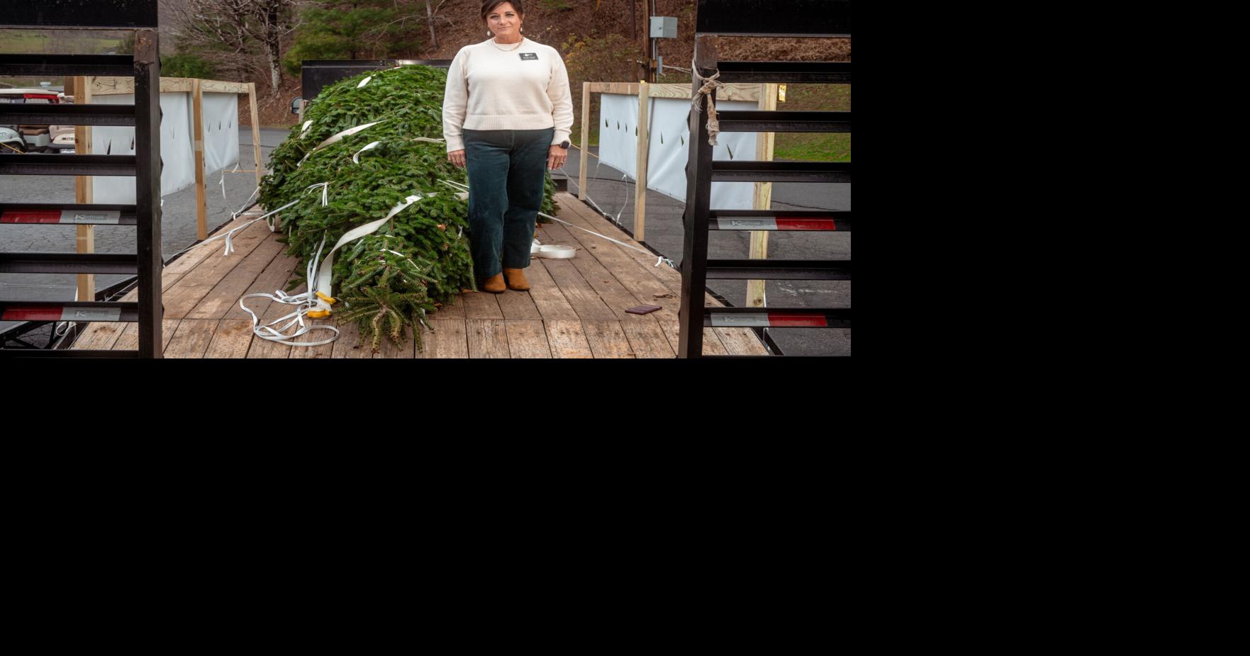 NC CHRISTMAS TREES 5 | | The Berkshire Eagle