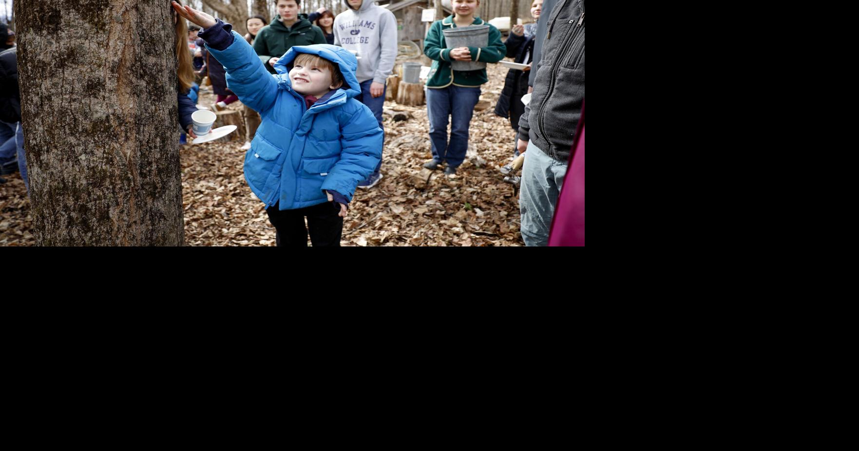 Photos: Maplefest 2024 at Hopkins Memorial Forest in Williamstown ...