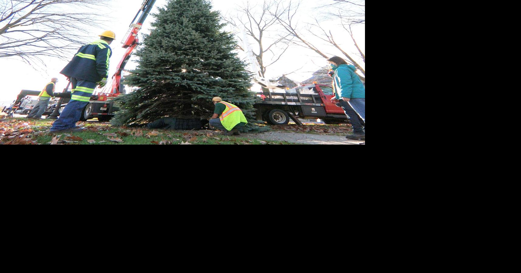 PCTV to air virtual tree lighting ceremony | Local News ...