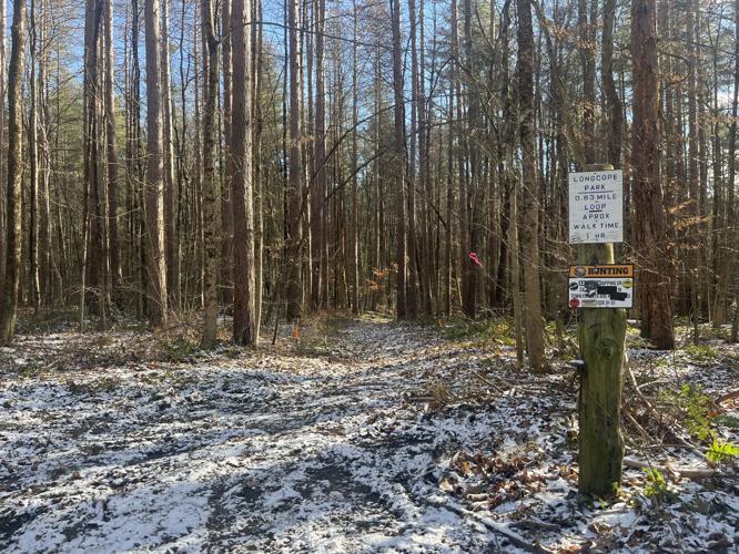 'Protecting the beauty we have.' Lee Greener Gateway Committee removes ...