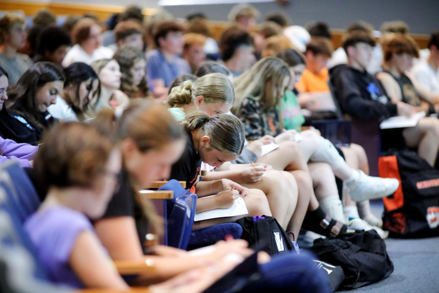 MCAS shows Lee students struggle with math, early literary | Central ...