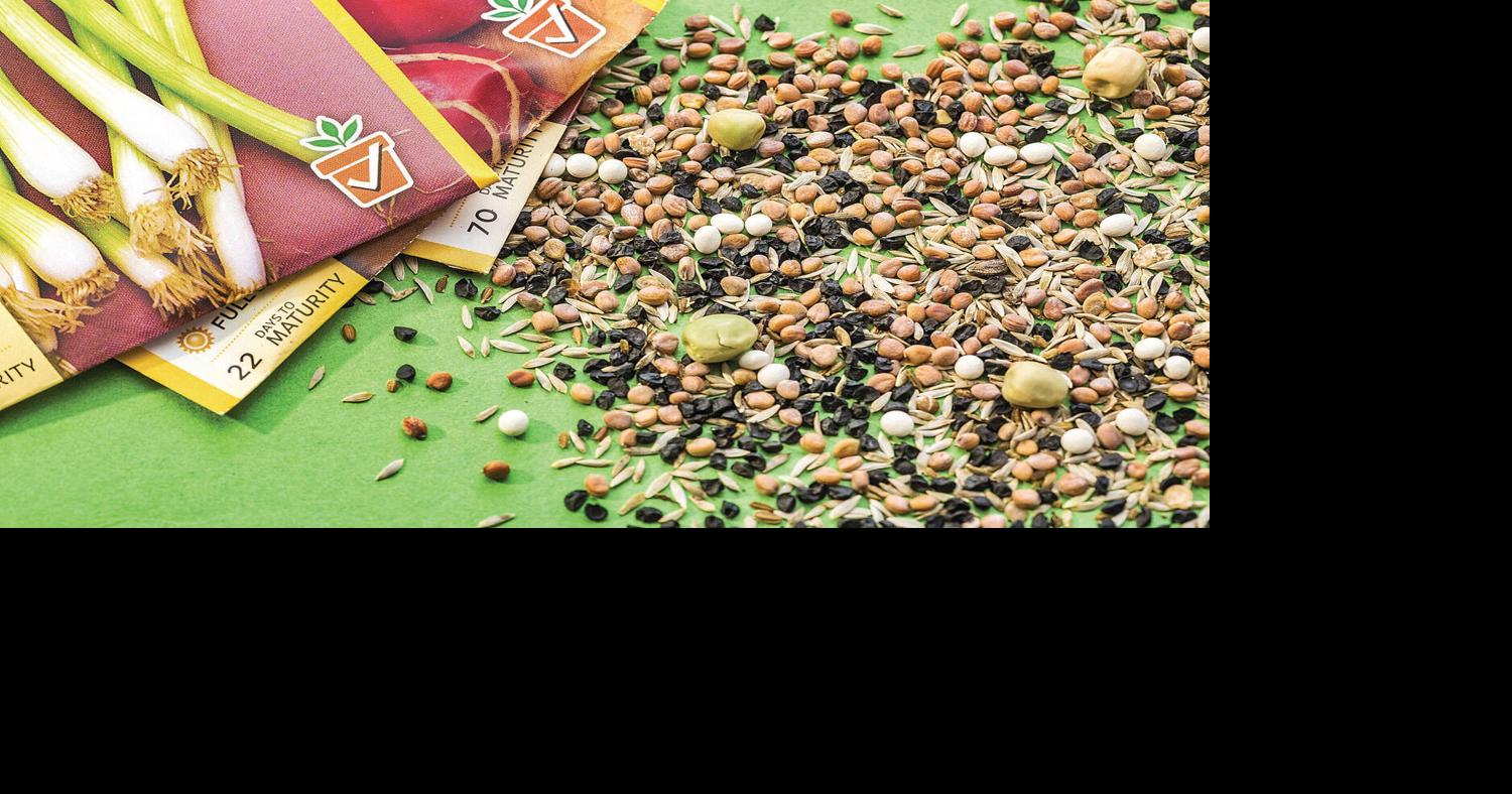 Anne Horrigan Geary: Downsizing the garden | Columnists ...