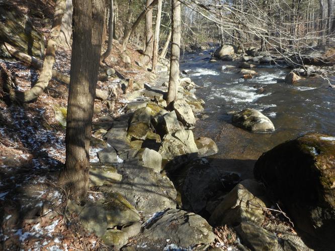 Lauren R. Stevens: A walk and a hike along the Old Mill Trail | Sports ...