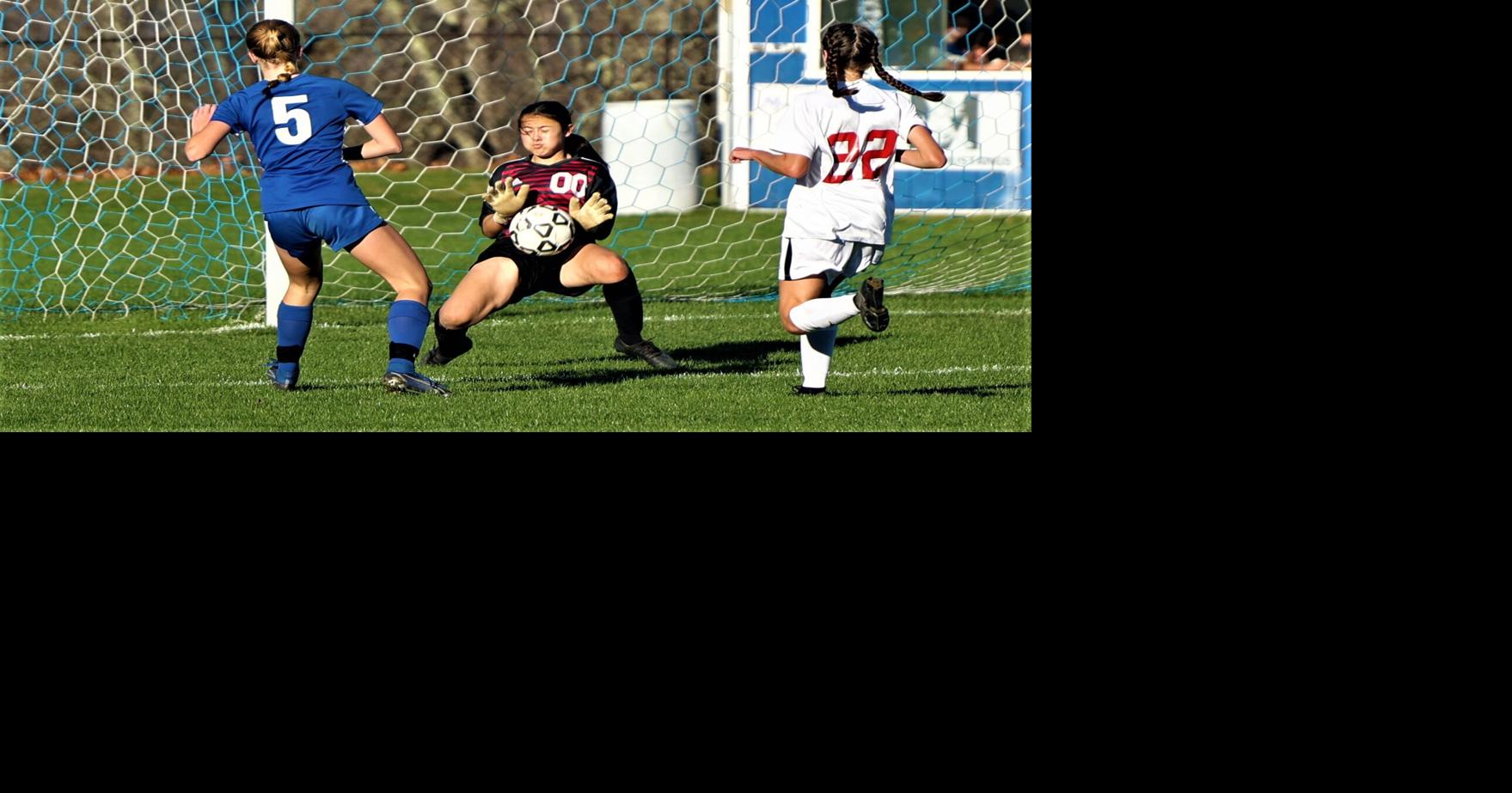 Mount Greylock girls soccer run comes to close in just second loss of ...