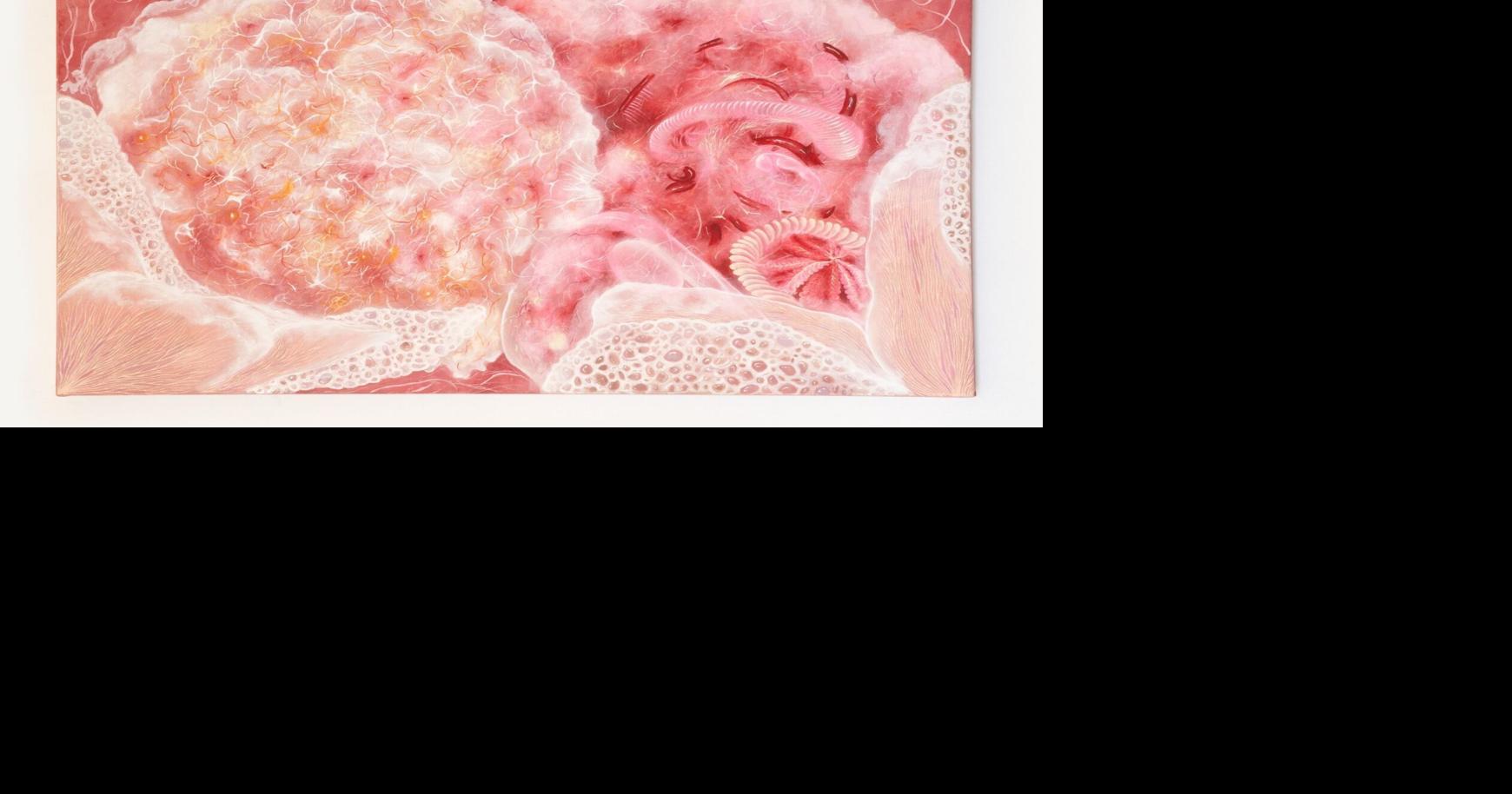 Interdisciplinary exhibition at Hudson Hall explores connections ...