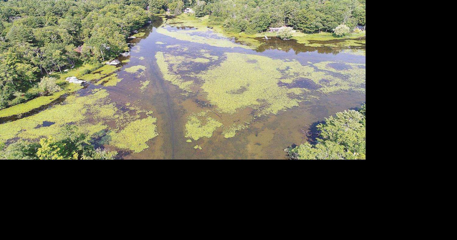 Officials issue a denial after observer critiques Stockbridge Bowl weed ...