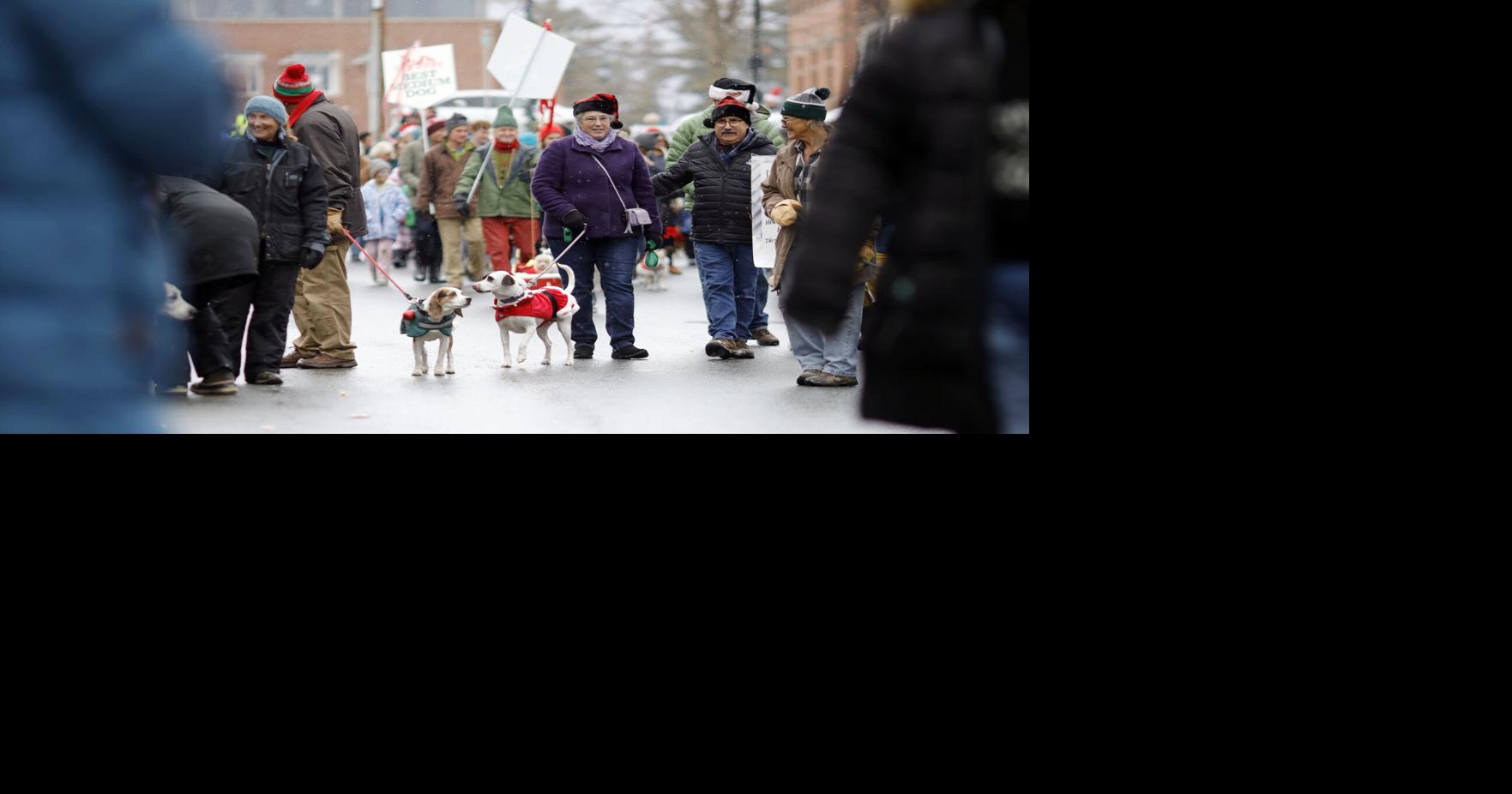 Photos: The Reindog Parade marches through Williamstown | Multimedia ...