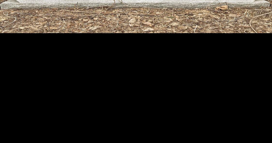 Ralph Gardner Jr.: Remains of the dog | Archives | berkshireeagle.com