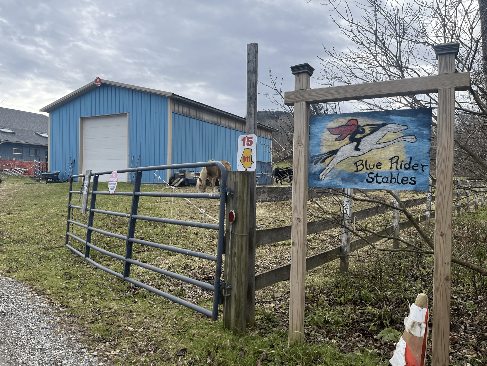 Following rabies exposure, community donations float Blue Rider Stables ...